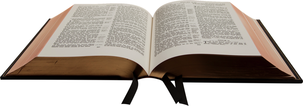 La Biblie en ligne La Biblie en ligne